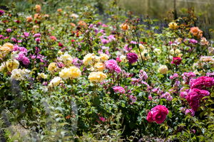 Homepage | UKARIA Cultural Centre